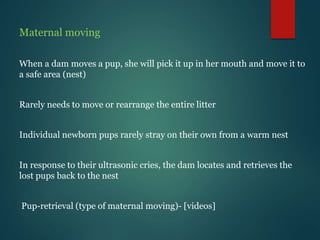 Nurturing behaviour in mice (1).pptx