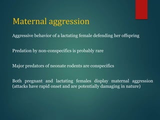 Nurturing behaviour in mice (1).pptx