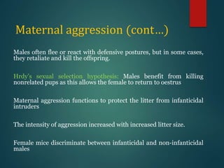 Nurturing behaviour in mice (1).pptx