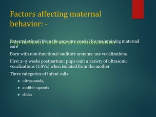 Nurturing behaviour in mice (1).pptx