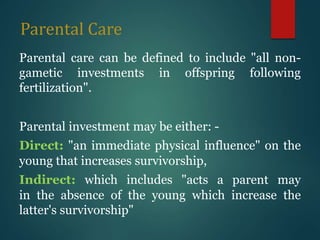 Nurturing behaviour in mice (1).pptx