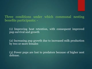 Nurturing behaviour in mice (1).pptx