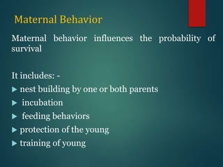 Nurturing behaviour in mice (1).pptx