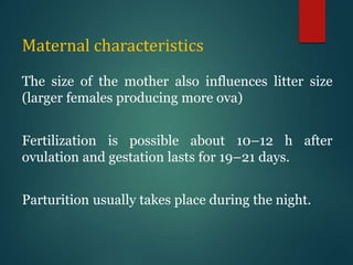 Nurturing behaviour in mice (1).pptx