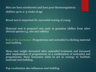 Nurturing behaviour in mice (1).pptx