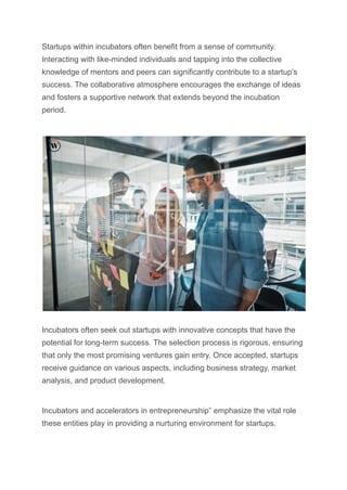 Nurturing Innovation Exploring the Impact of Incubators and ...