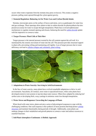 Nurturing Nature.pdf