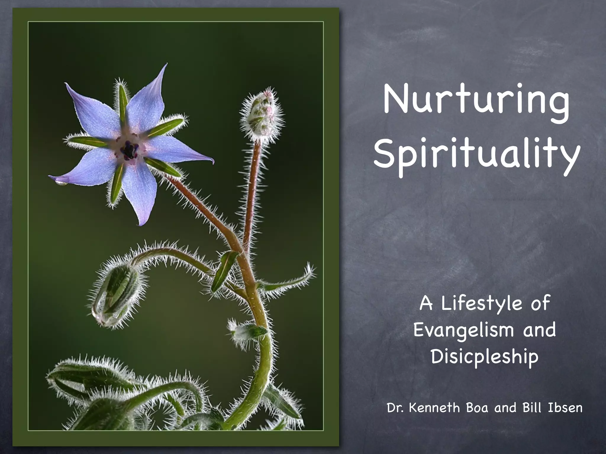 Nurturing Spirituality | PPT