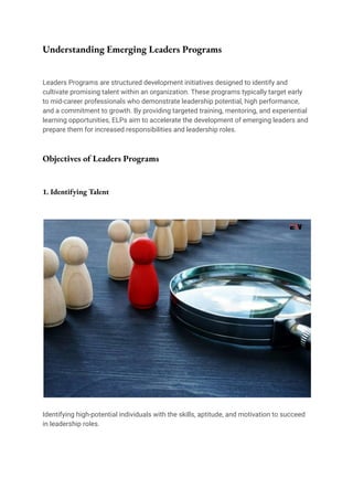 Nurturing Tomorrow’s Leaders_ The Power of Emerging Leaders Programs.pdf | Human Resources ...