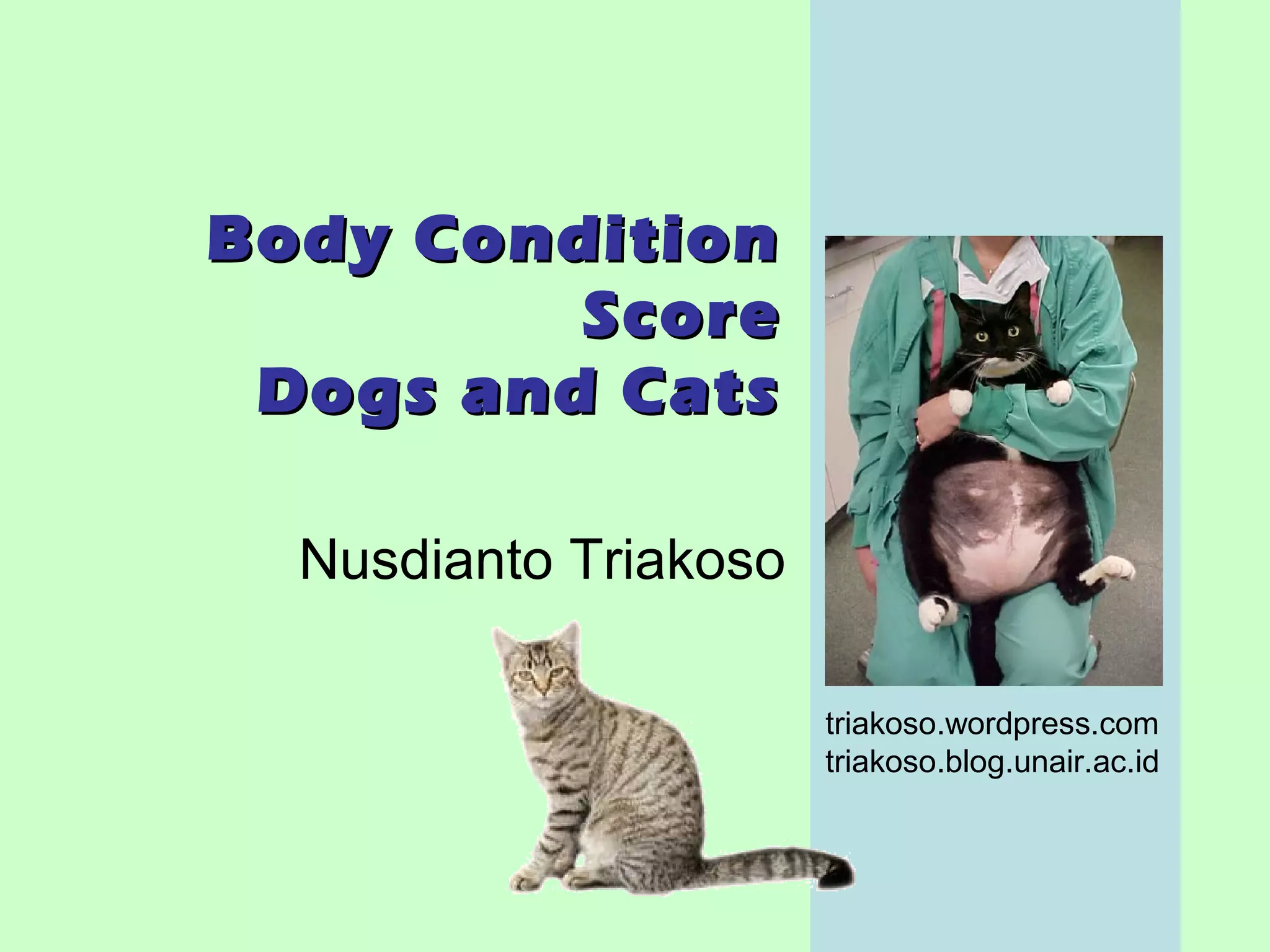 Nus body condition score cat dog 2009 | PPT