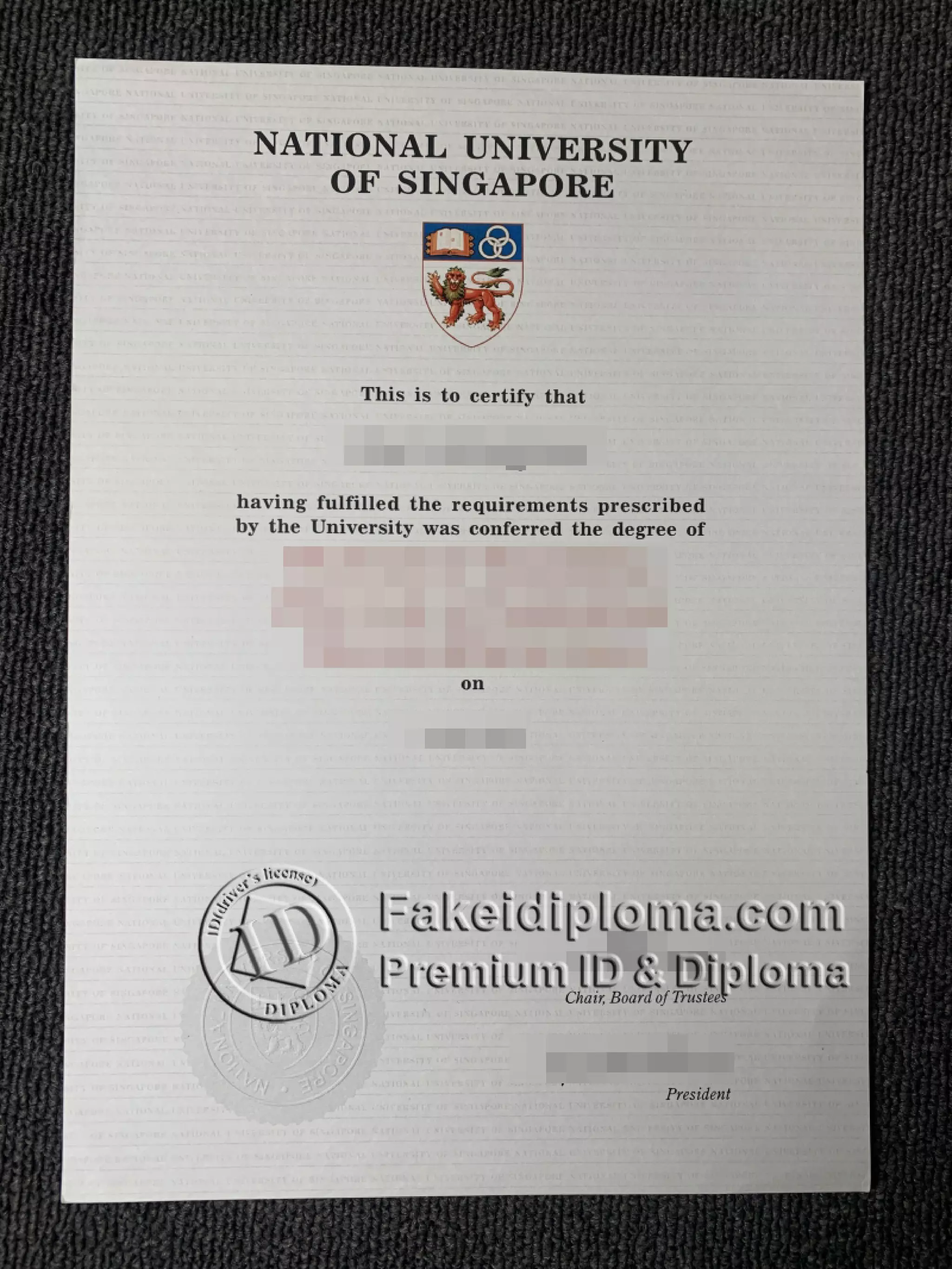 NUS degree | PDF