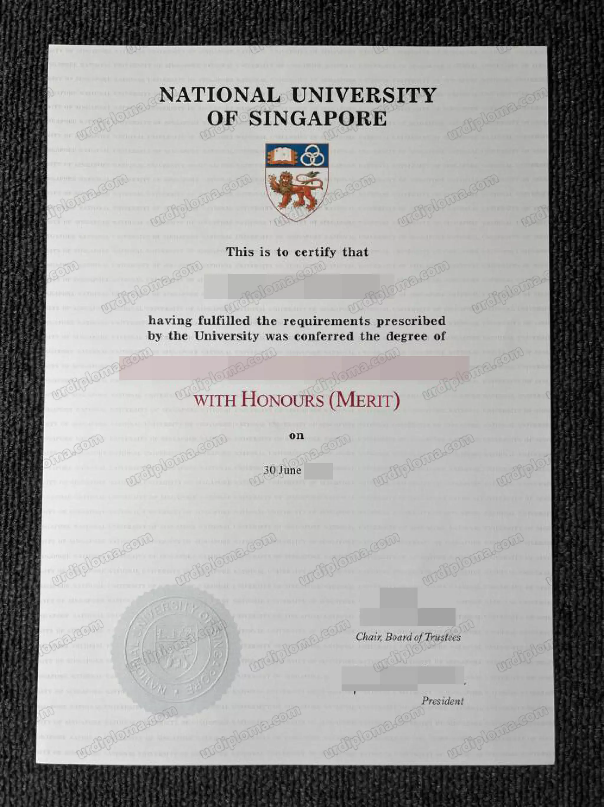 NUS degrees | PDF