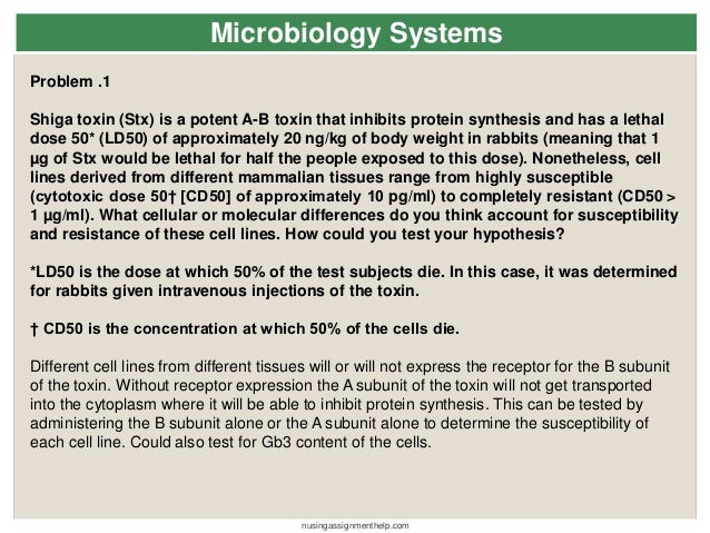 Microbiology Assignment Help | PPT