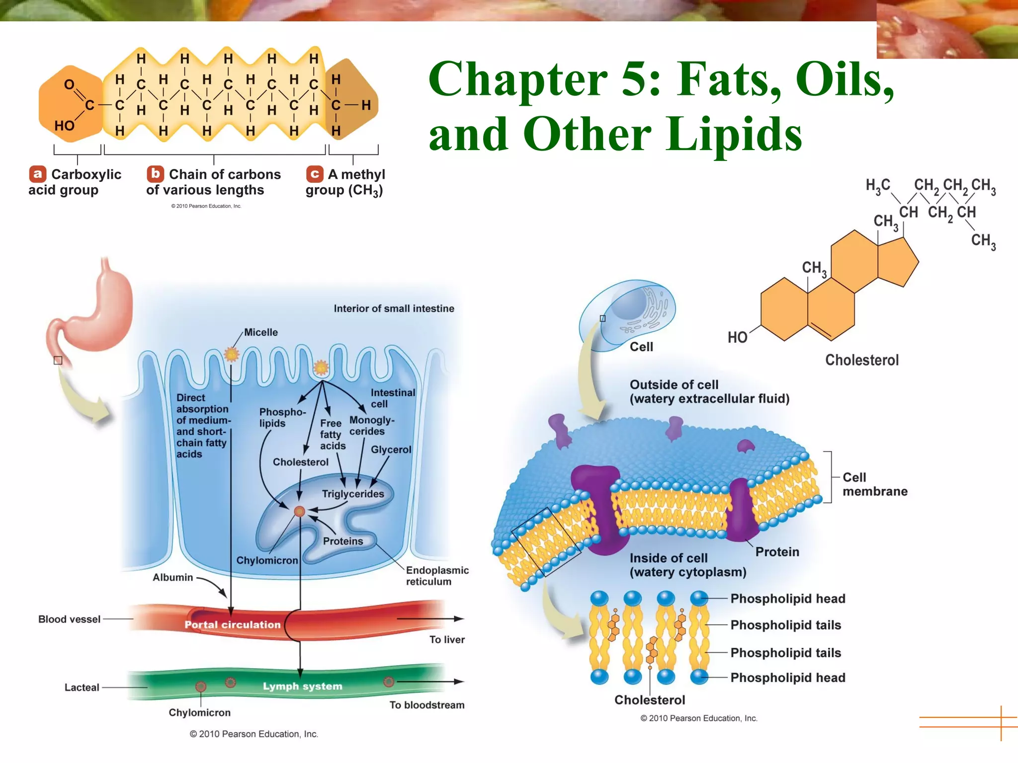 Nut chapter 5_lecture | PPT