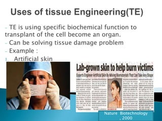 Tissue engineering (group presentation) | PPTX