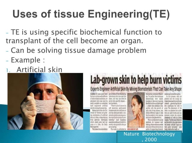 Tissue Engineering Group Presentation Ppt