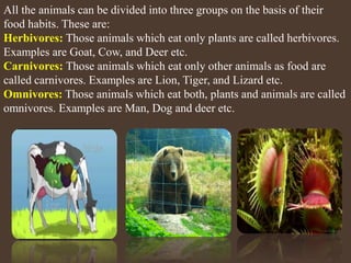 NUTRITION IN ANIMALS -2 (CLASS-VII) NCERT | PPTX