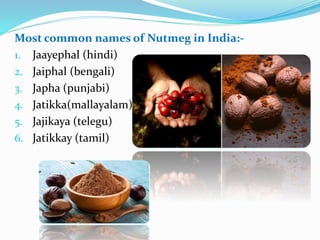 Nutmeg(jaiphal) | PPTX
