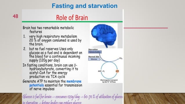 NUTR-701-06-07-Metabolism Well fed & Fasting.pdf