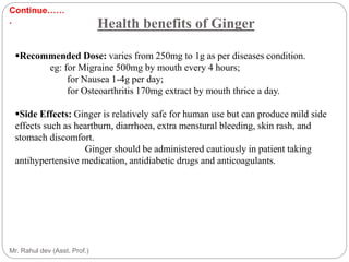 Herbs as Health Food, Herbal Drug Technology-6th semester.pptx