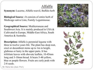 Herbs as Health Food, Herbal Drug Technology-6th semester.pptx