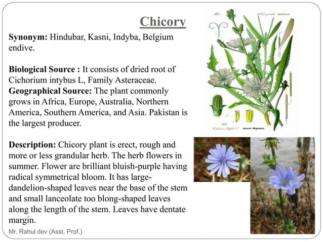 Herbs as Health Food, Herbal Drug Technology-6th semester.pptx