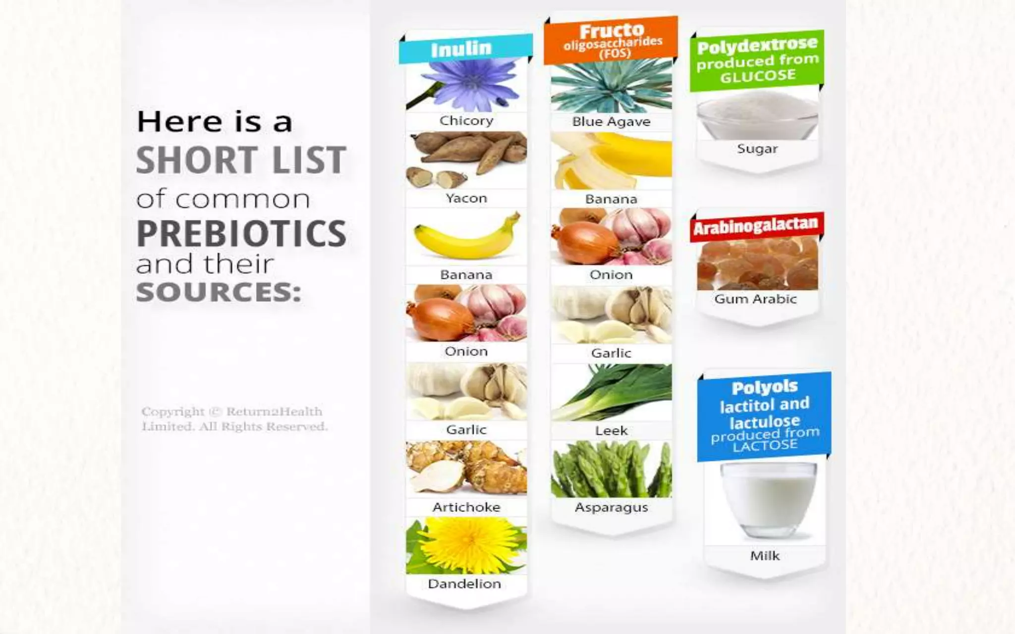 Probiotics and Prebiotics | PPTX