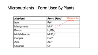 Micro Nutrients stress | PPTX | Agriculture | Industries