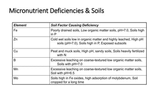 Micro Nutrients stress | PPTX