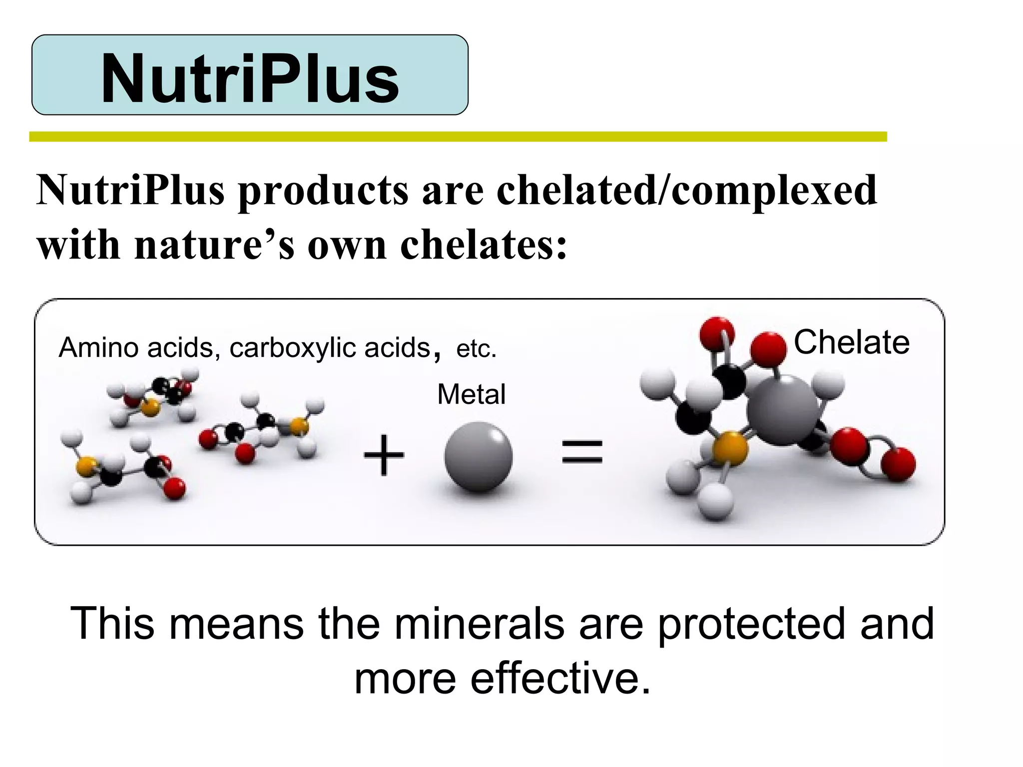 Nutriplus Power Products | PPT