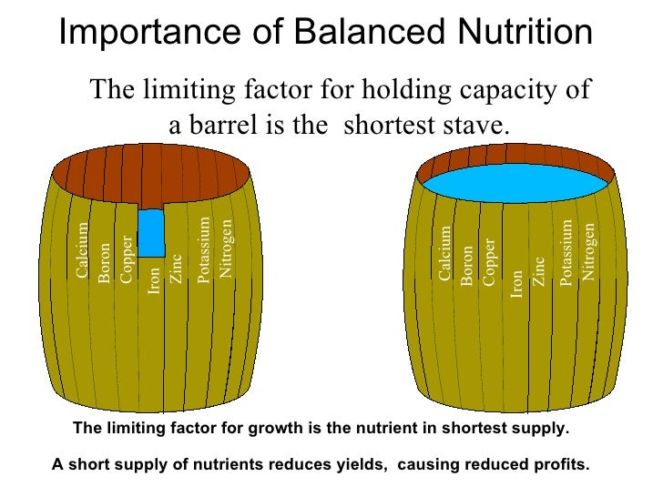 Which Are Limiting Nutrients For Plant Growth - Plant Ideas