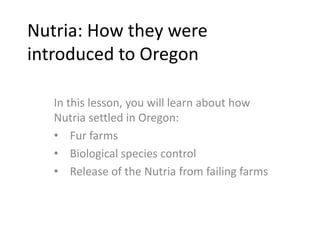 Nutria | PPTX