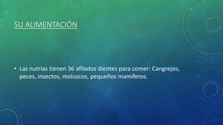 Nutrias | PPTX