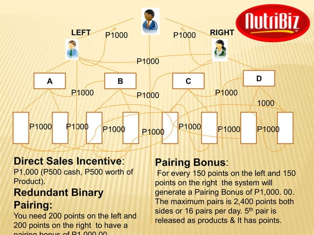 Nutribiz powerpointfor upload | PPT