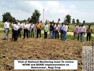 Ragi -Nutri Cereal Crop. | PPT