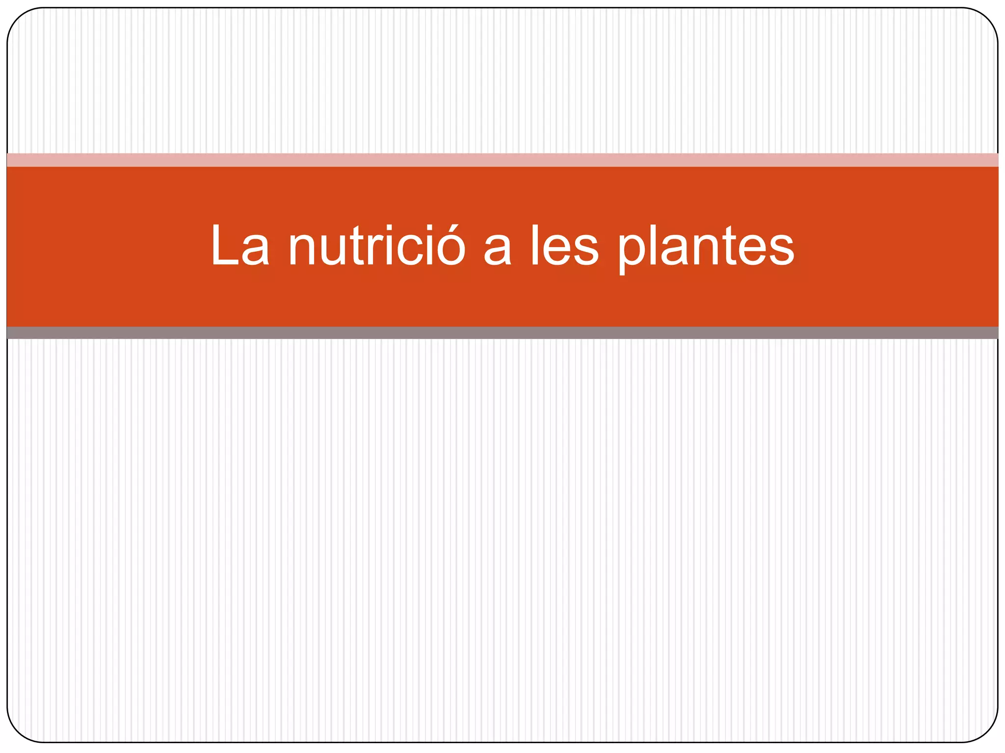 Nutrició a les plantes | PPTX