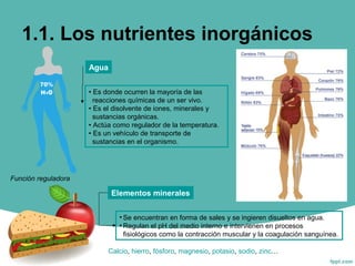 Nutrición | PPT
