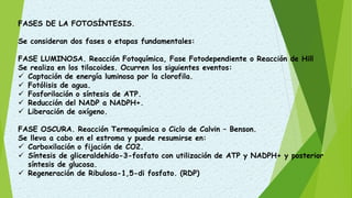 NUTRICIÓN CELULAR.pptx