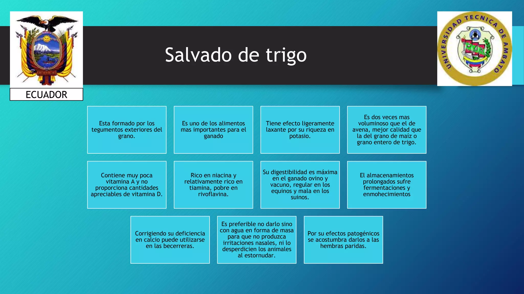 Trigo y subproductos del trigo | PPTX