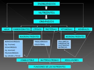 Todo sobre Nutricion Biologia | PPT