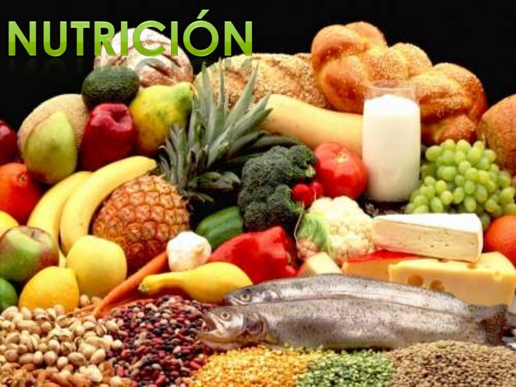 Nutricion:su significado,en que consiste, y que se necesita para tene…