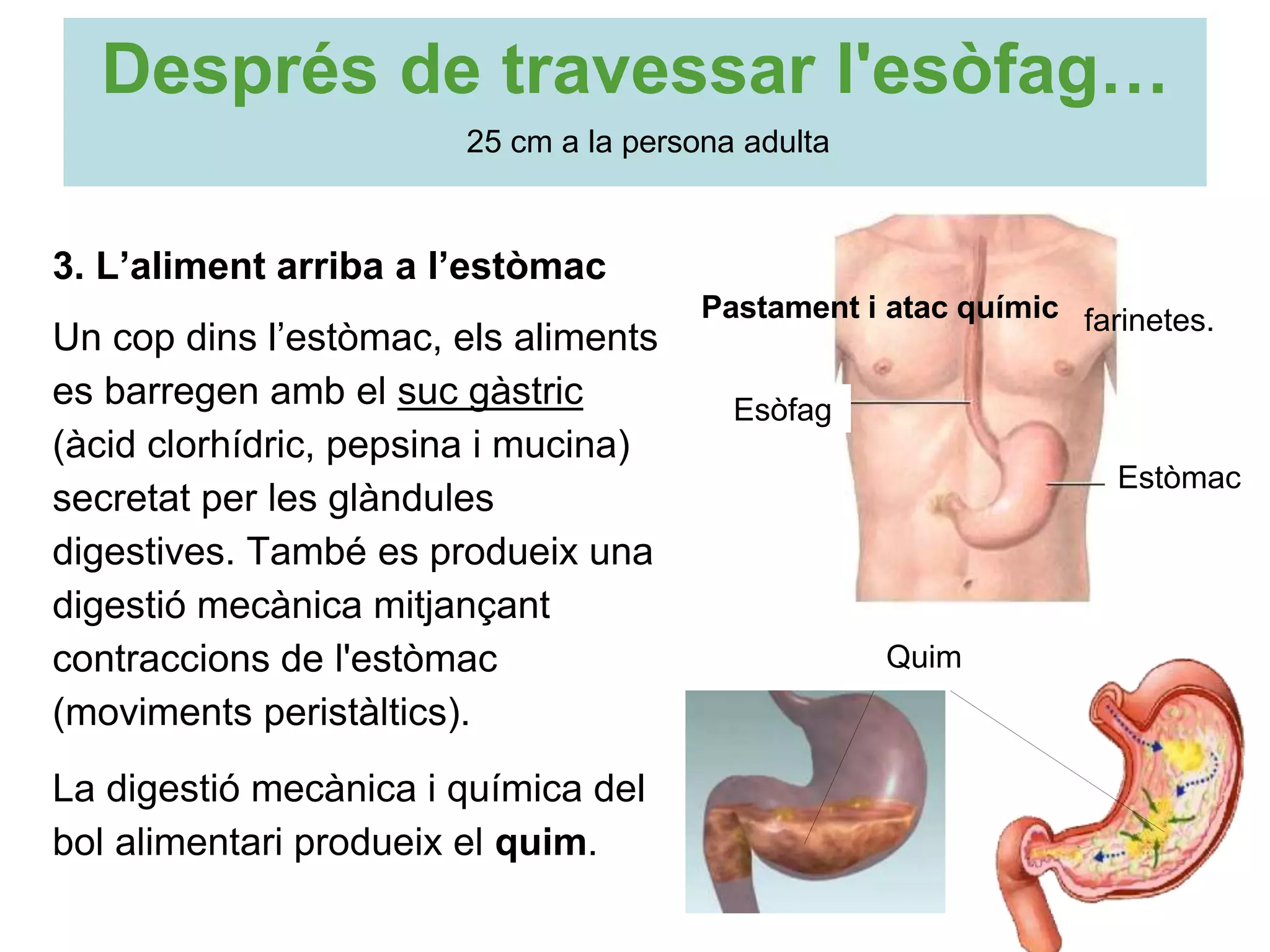 Nutricion.ppt