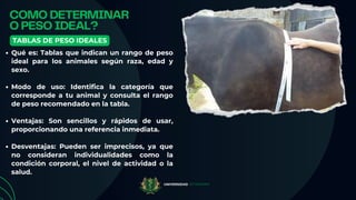 NUTRICION-ANIMAL-PARA-EQUINOS-BOVINOS-Y-PORCINOS-CLASE-02.pdf