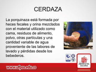 analisis de la cerdaza y acacia decurrens | PPT
