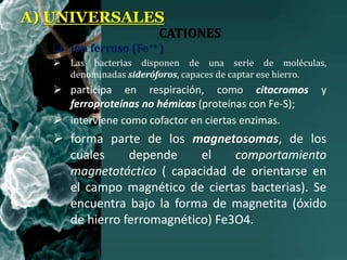 Nutricion bacteriana | PPTX