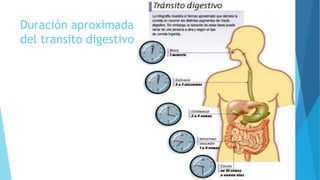 técnicas de alimentación asistida nutrición parenteral y nutrición ...