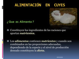 NUTRICION Y ALIMENTACION DE LOS CUYES.ppt
