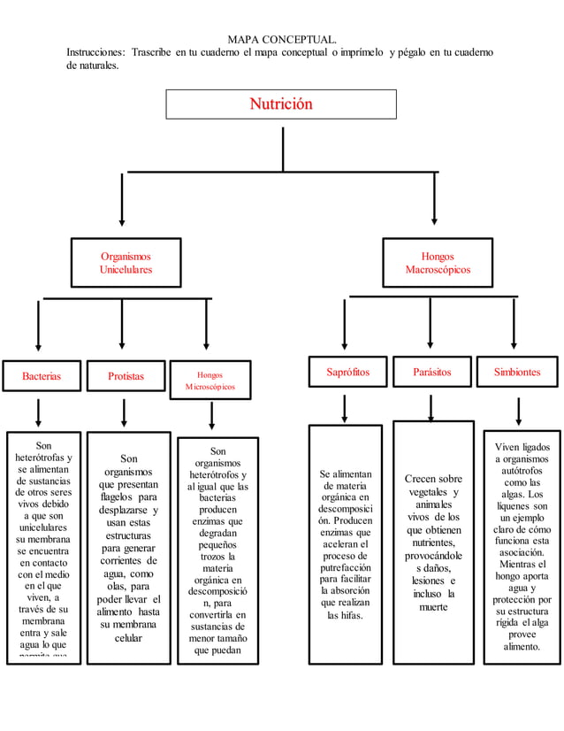 Nutricion de los hongos macroscopicos y organismosunicelulares. 1 Nutricion de los hongos macroscopicos y organismosunicelulares. 1
