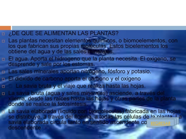 Nutricion En Las Plantas Ppt