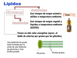 Nutricion Parte 3 | PPS